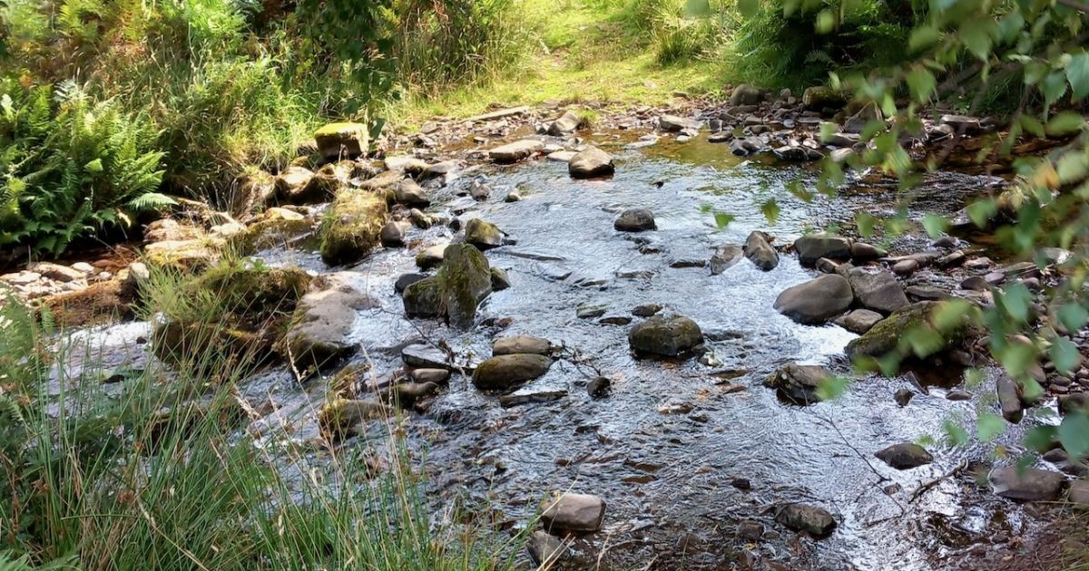 Mescoed Mawr meander - Ramblers